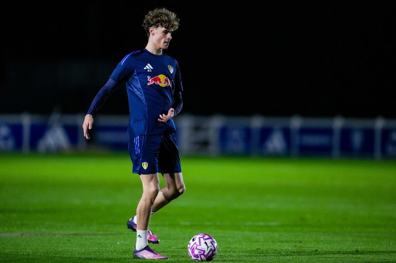 Nine Leeds United players who could be loaned out this summer including ...