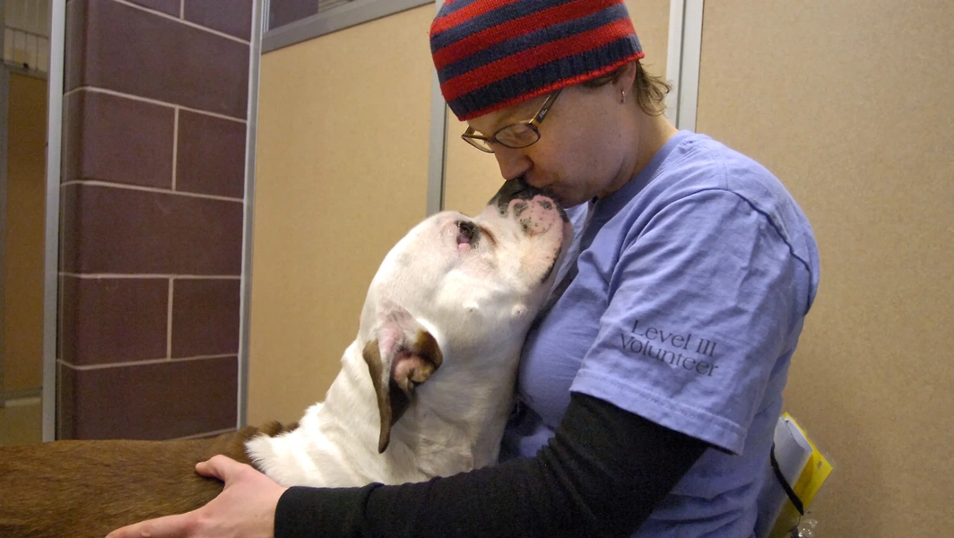 4 inspiring bulldog rescue and bonding stories