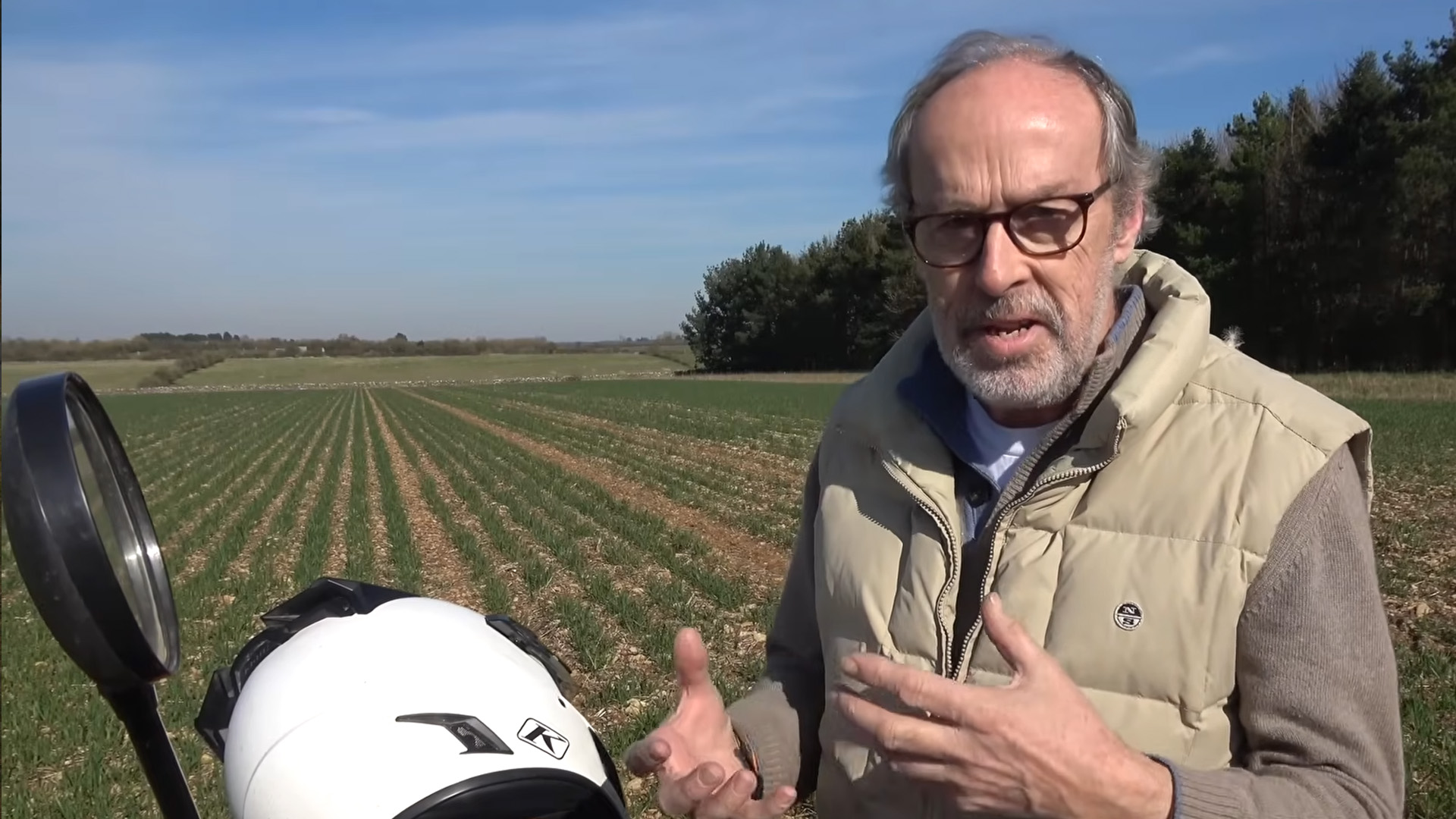 The reality of growing wheat in bad weather