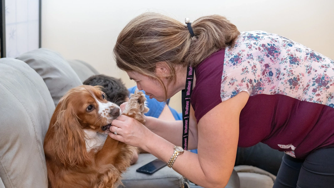 Understanding why dogs put their paws on people