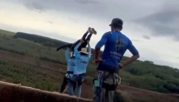 21-year-old Brazilian woman falls to death after bungee jump crew ...