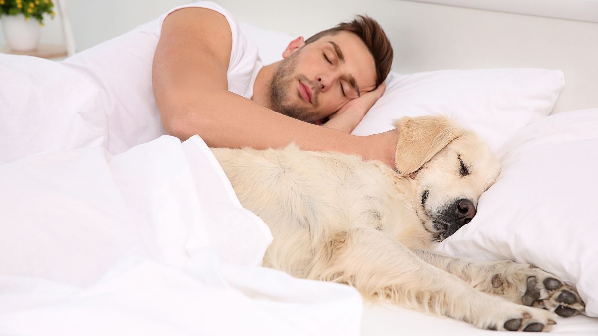 The hidden meaning behind the way your dog chooses to sleep next to you