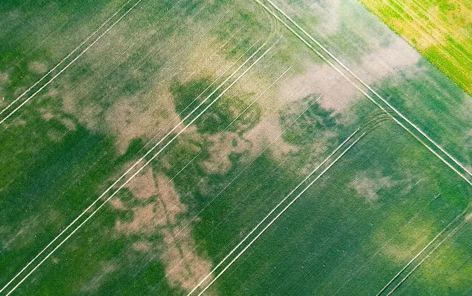 Drought expands to cover quarter of Canada as summer begins