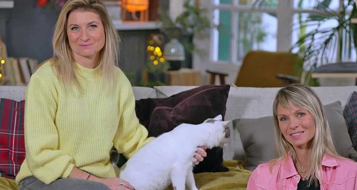 Animaux à adopter : une autre chaîne récupère l'émission en plus de TMC