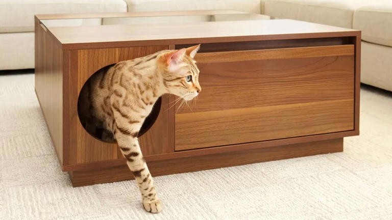 Costco's clever coffee table gives pets their own private retreat