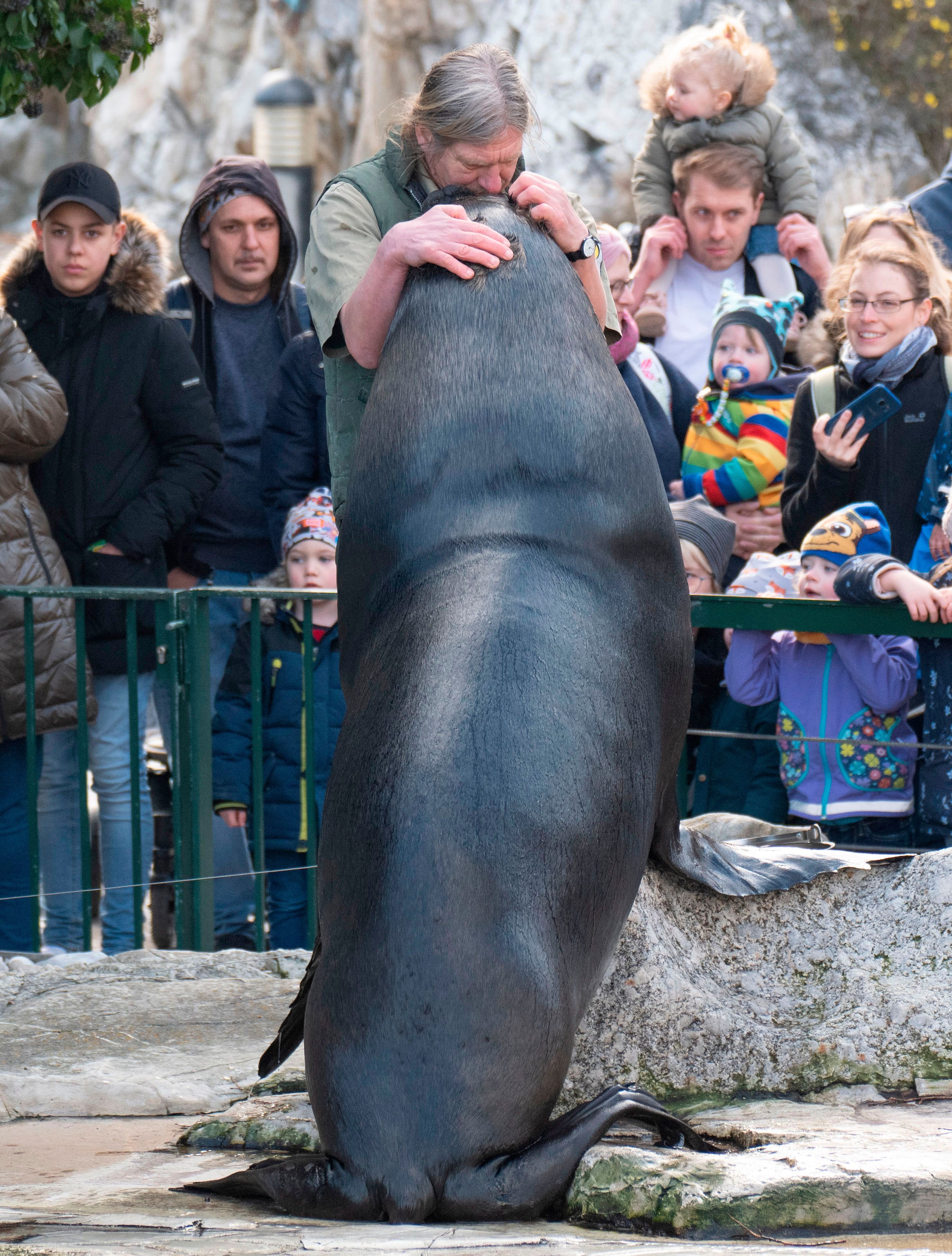 The best zoos in the world for lions and tigers and bears, oh my!