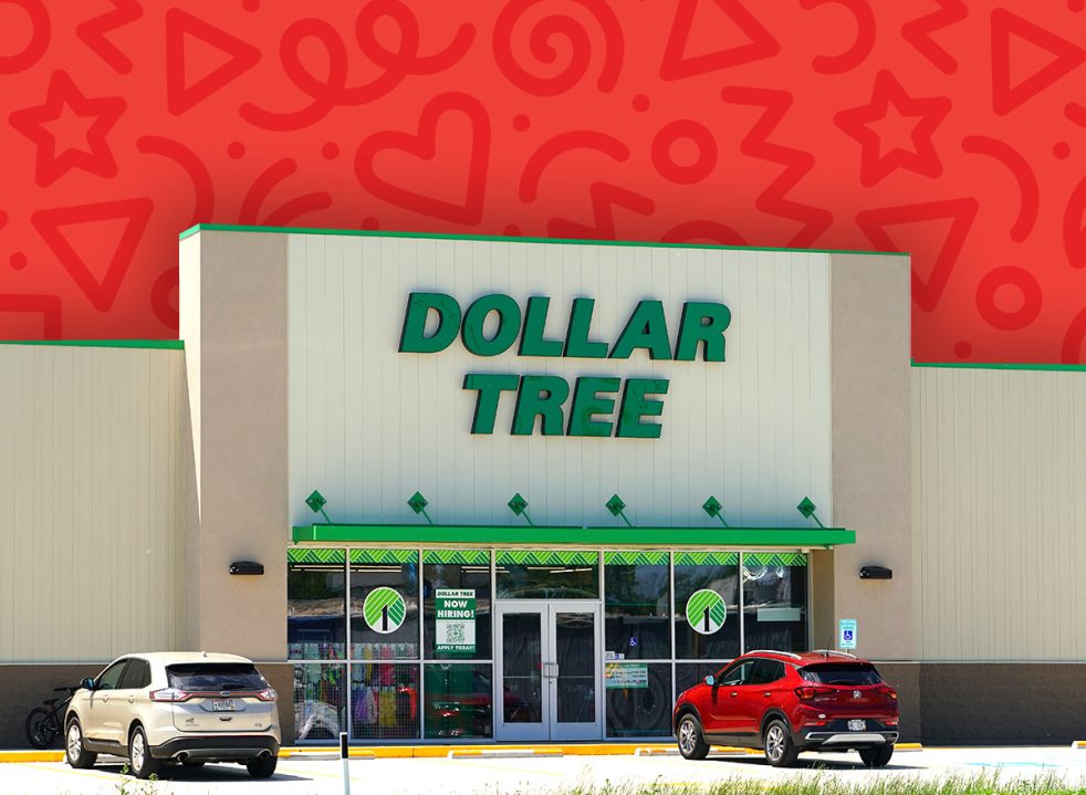 7 best new Dollar Tree home organization finds under $10