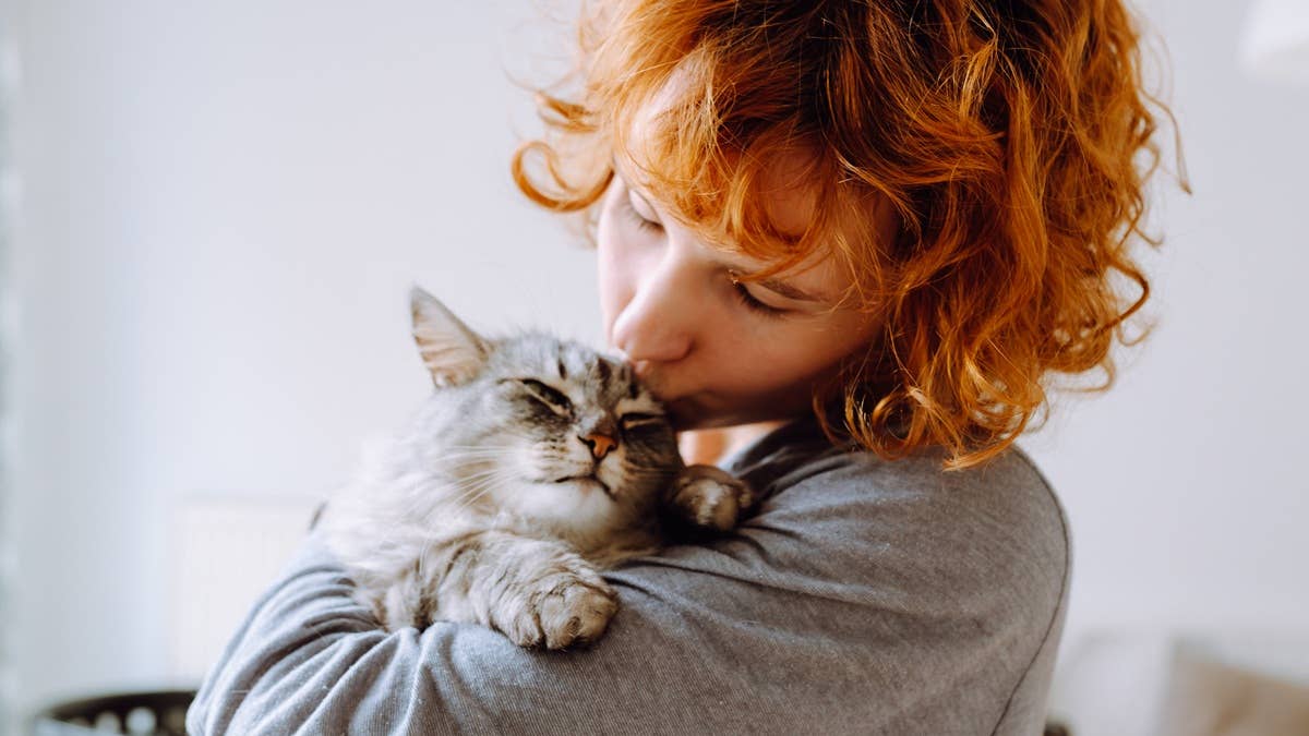9 signs your cat thinks you’re their best friend