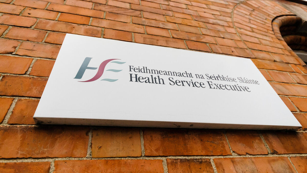HSE in danger of missing legally binding Climate Action Plan targets