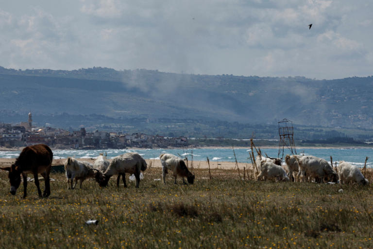 Guerre au Liban : Beyrouth accuse Israël d’avoir pulvérisé du ...