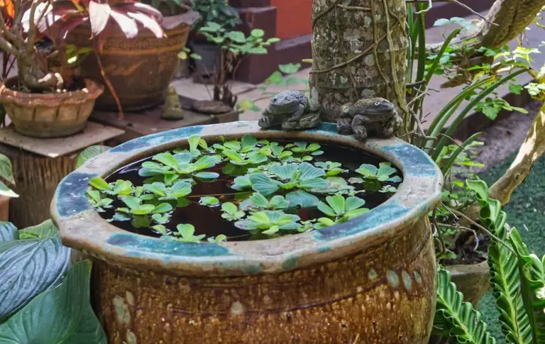 How to build a simple toad abode to keep natural pest controllers in ...