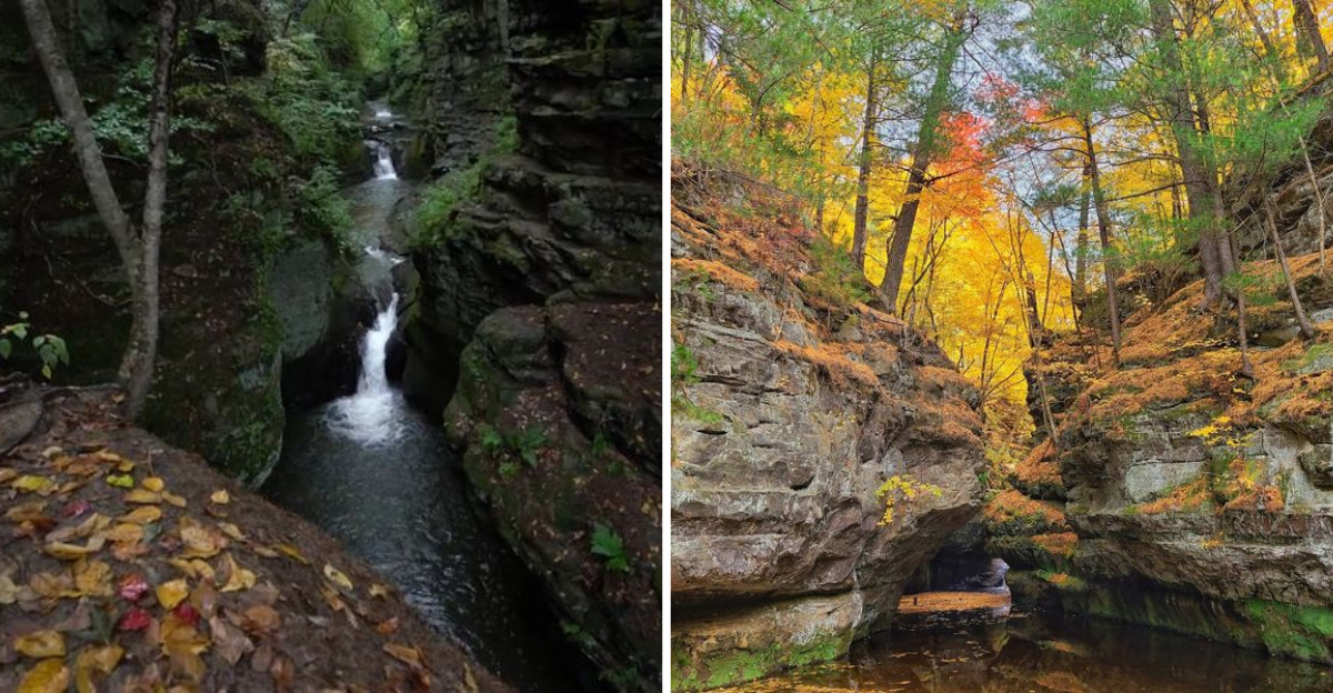 Find the Wisconsin swimming hole that is too beautiful to enter and too ...