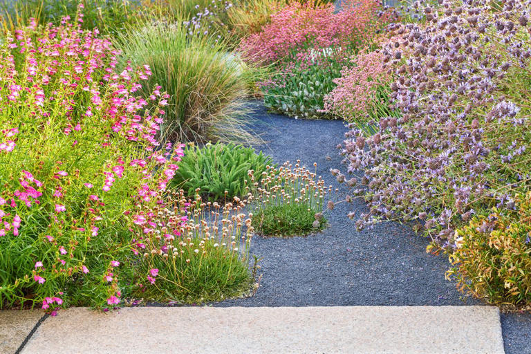 9 naturalistic garden design ideas for a backyard that feels relaxed ...