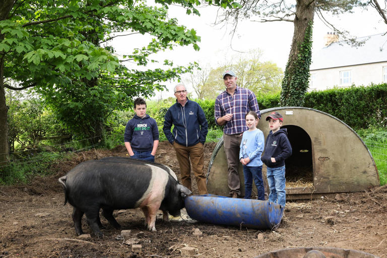 Stonebridge Farm: Heritage breeds, sustainable practices and farming ...