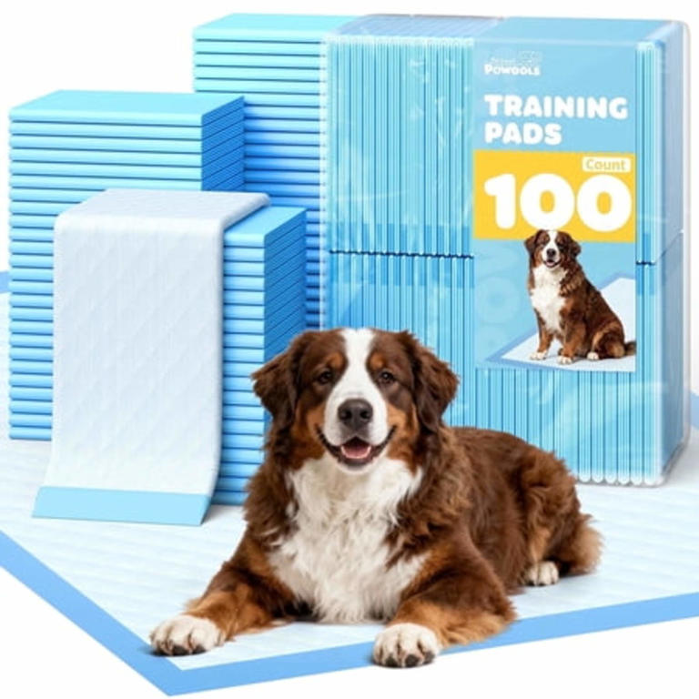 Walmart’s secret pet sale has up to 70% off must-haves for your furry ...