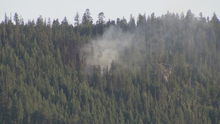 Fighter jet made 'popping sounds' before crashing, sparking wildfire ...