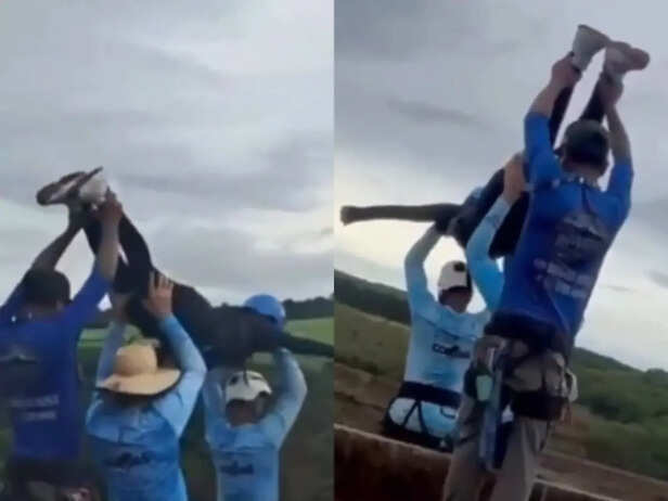 'Who let me jump off a bridge?': 21-year-old Brazilian woman's last ...