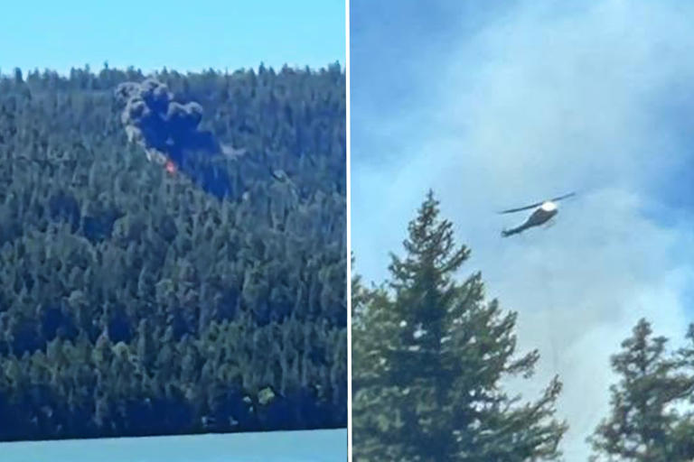Terrifying moment California fighter jet 'pops' then crashes near Mt ...