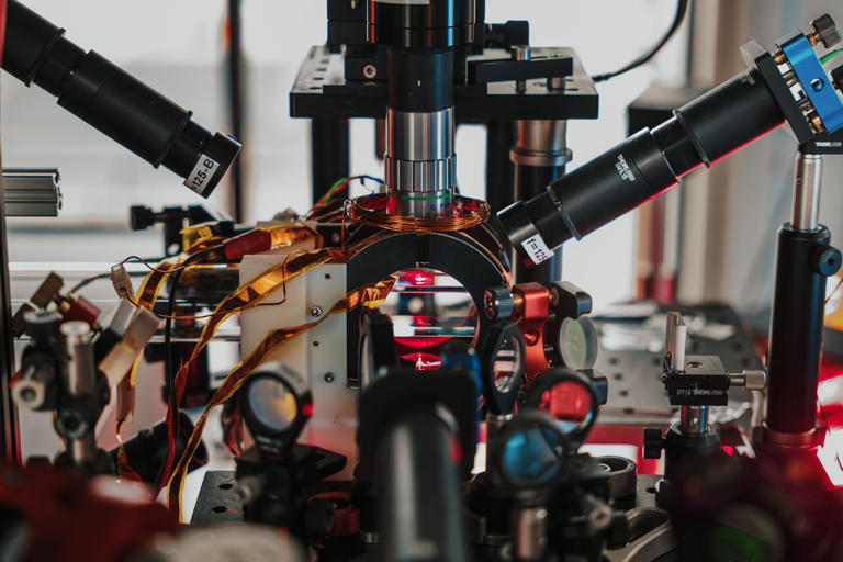Mini universe built from ultracold atoms measures time without a clock