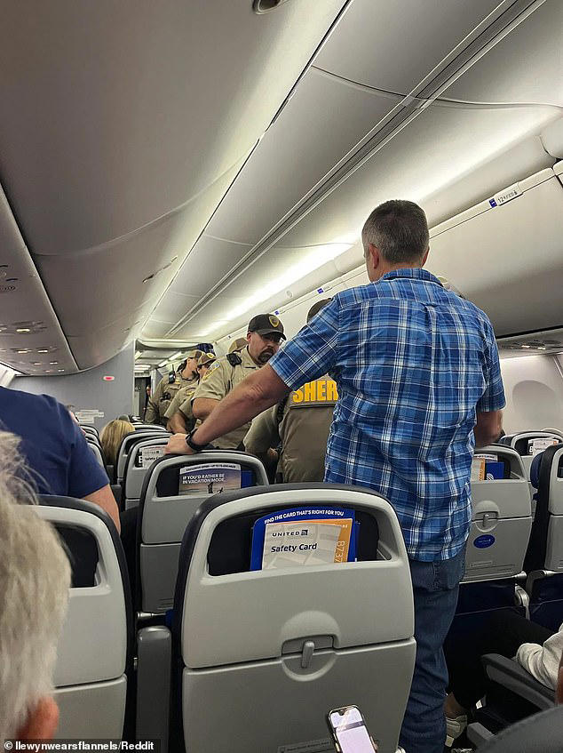 United Airlines flight bound for LAX is delayed over huge swarm of bees