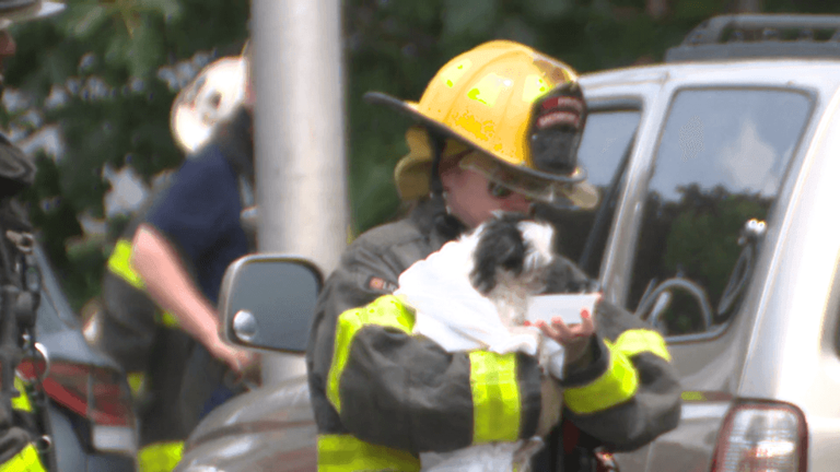 Multiple dogs rescued as three-alarm fire damages Reservoir Hill ...