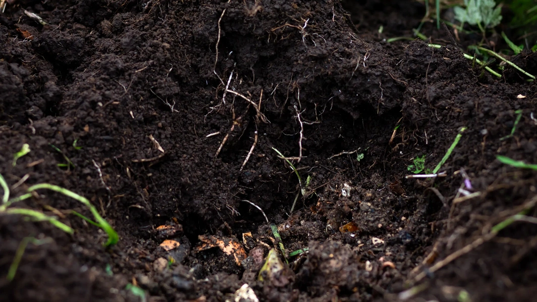 Experts say raised bed soil rarely needs full replacement