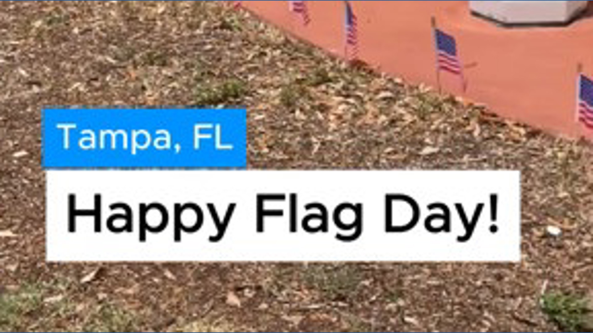 Flag Day
