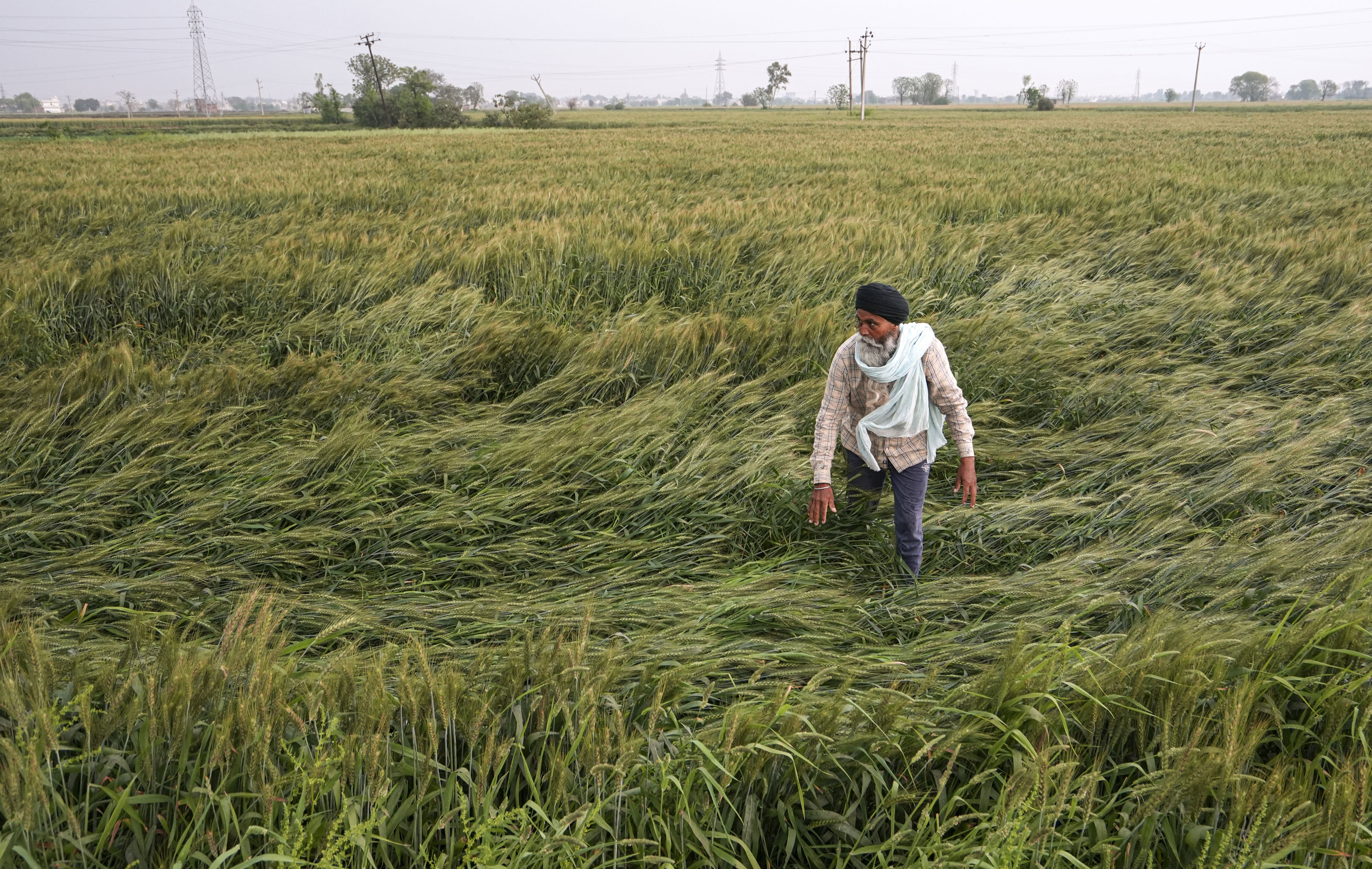 Two new urea plants with 25.4 lakh tn capacity to start production ...