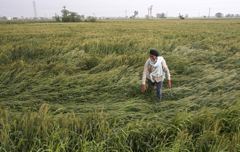 Two new urea plants with 25.4 lakh tn capacity to start production ...