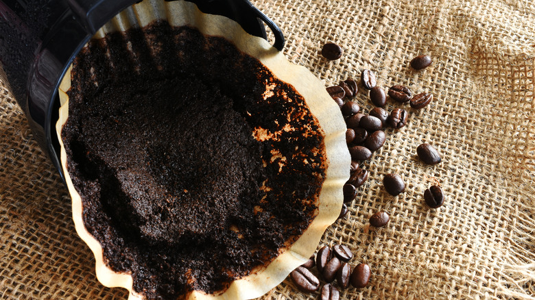 10 best uses for your used up coffee grounds