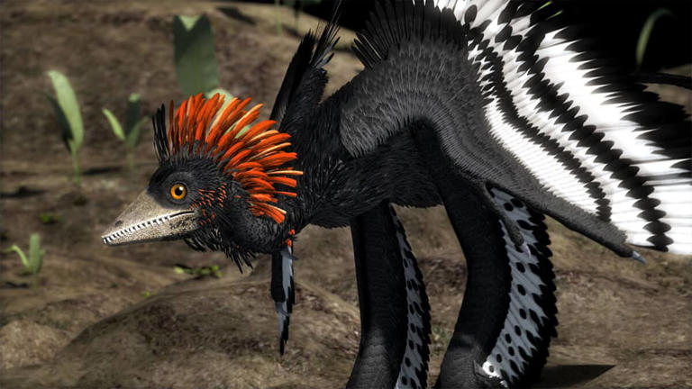 Exceptionally well-preserved 160-million-year-old fossil feathers ...