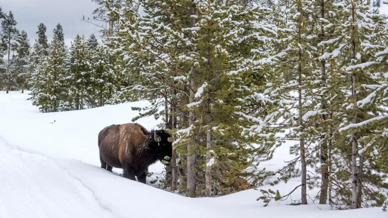 7 surprising US places becoming climate safe havens
