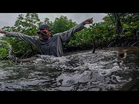 Simple bait, amazing results! 🚨