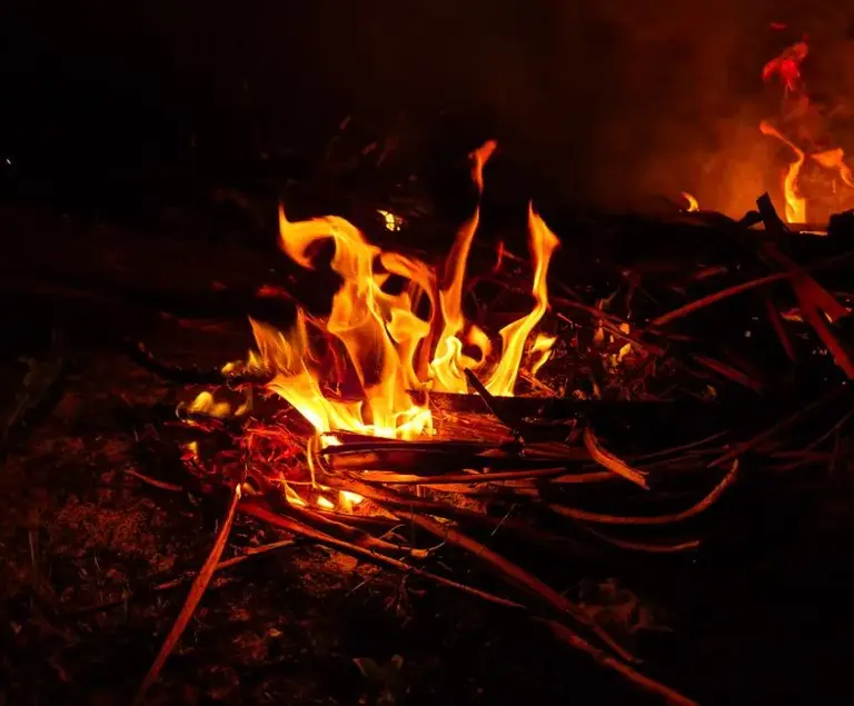 Why controlled burns are becoming our best weapon against massive wildfires
