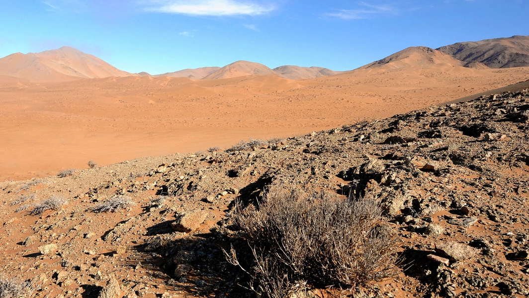 Chile's Atacama tourism boom tests conservation balance