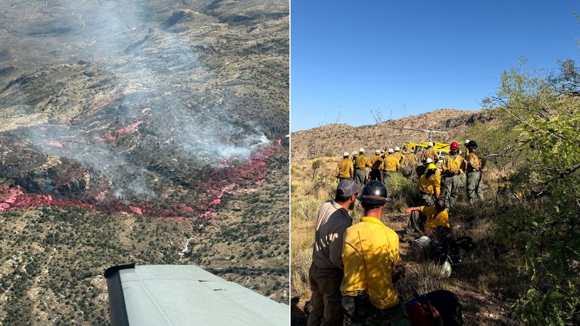 Box Fire burns 136 acres in Saguaro National Park, authorities say