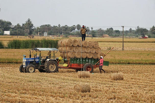 Heat stress costs Indian farm workers 81 workdays a year, threatening ...