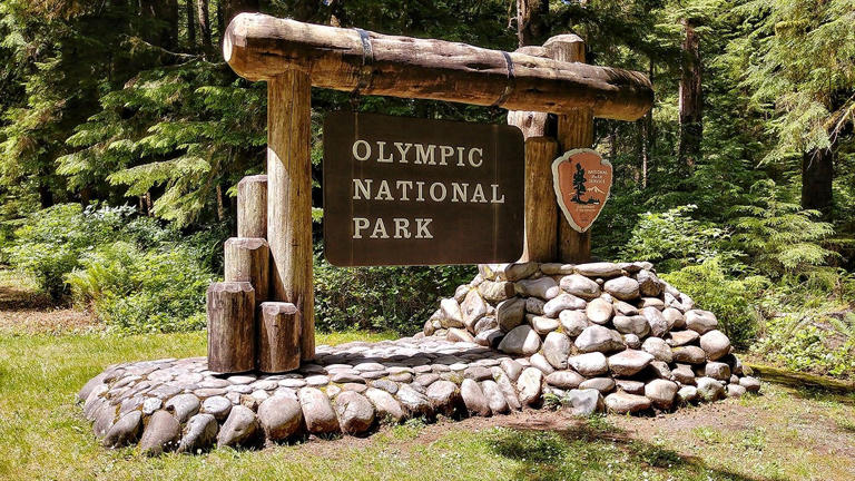 Mystery of remains found inside sleeping bag in Olympic park solved ...