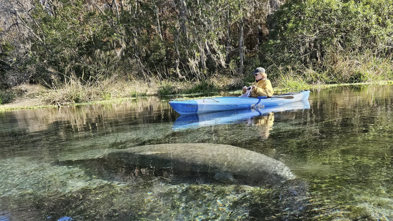 Florida's most beautiful state park has crystal-clear springs