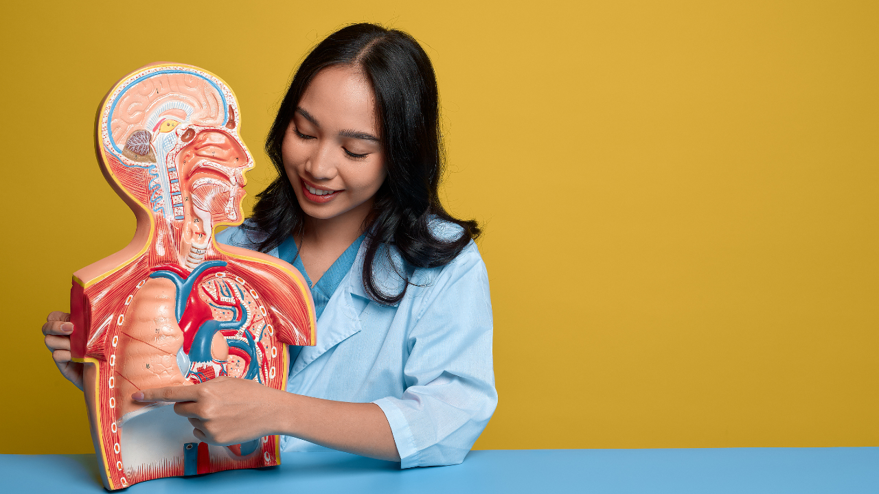 The protein craze: Are high-protein diets and supplements putting your ...