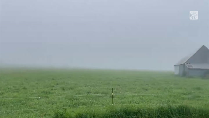 Eerie fog engulfs Maple Grove Farm