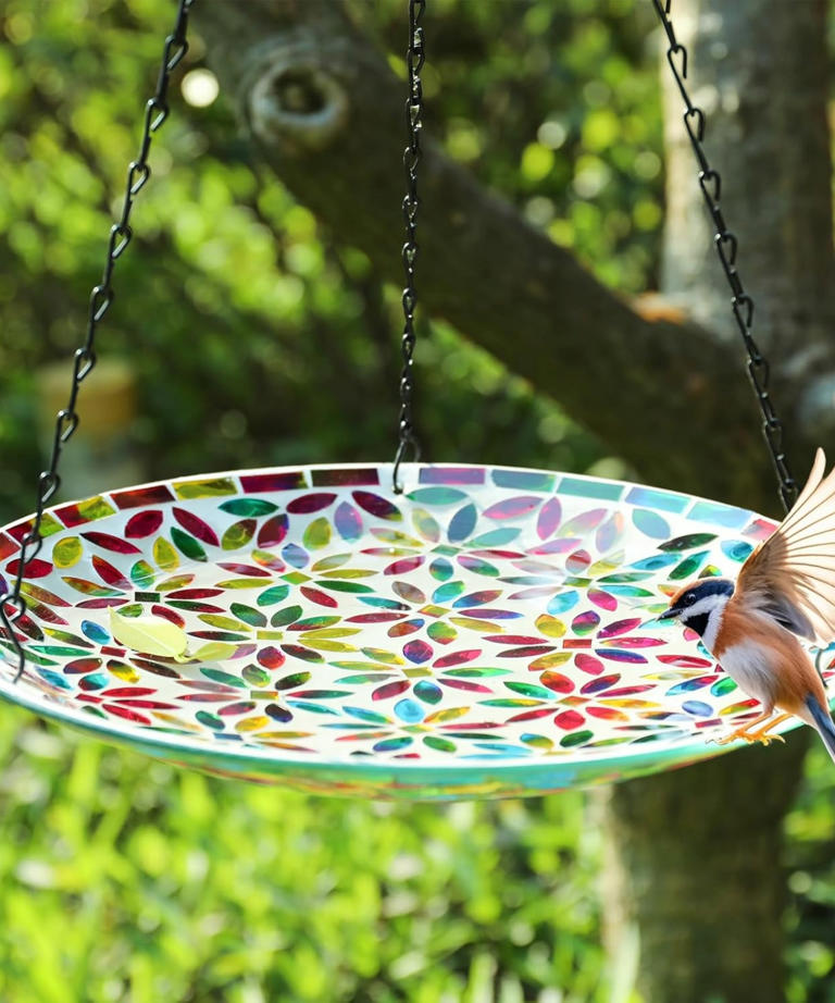 These 7 bird baths will get birds flocking to your garden – whatever ...