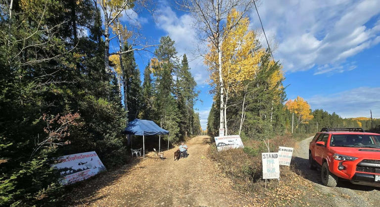 Forestry consortium, First Nation family heading to listening circle ...
