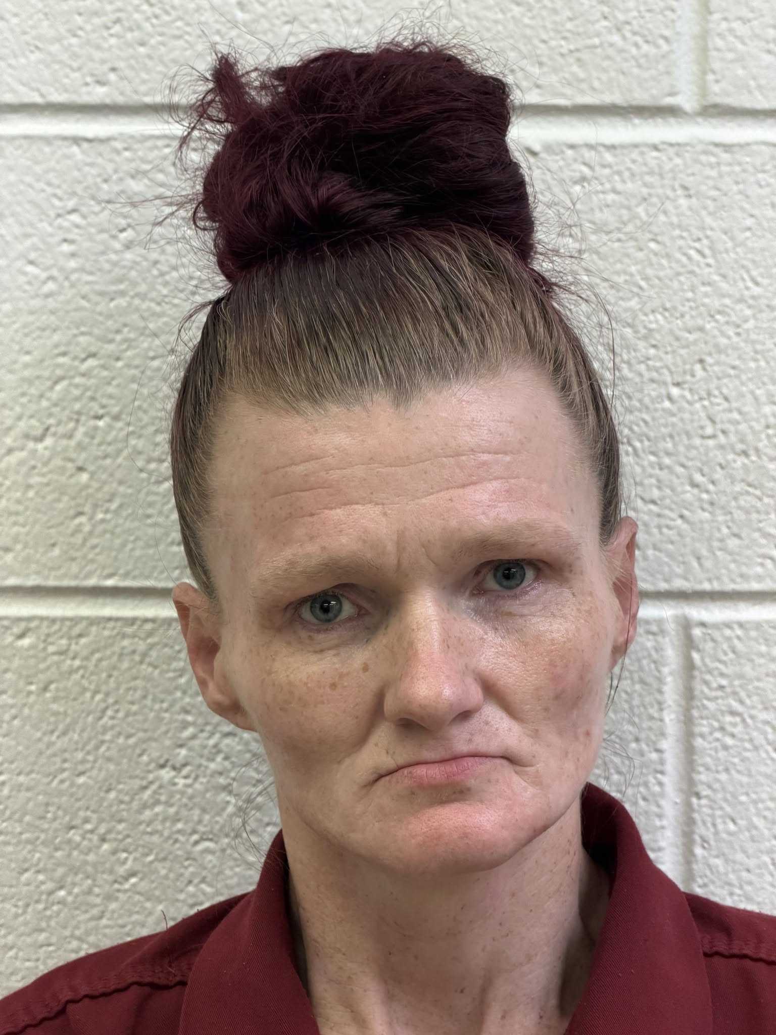 Two arrested after deputies search suspected drug house