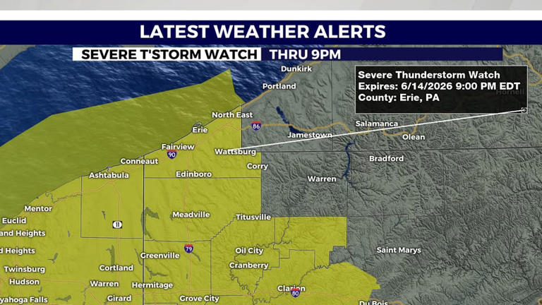 Severe thunderstorm watch has been issued