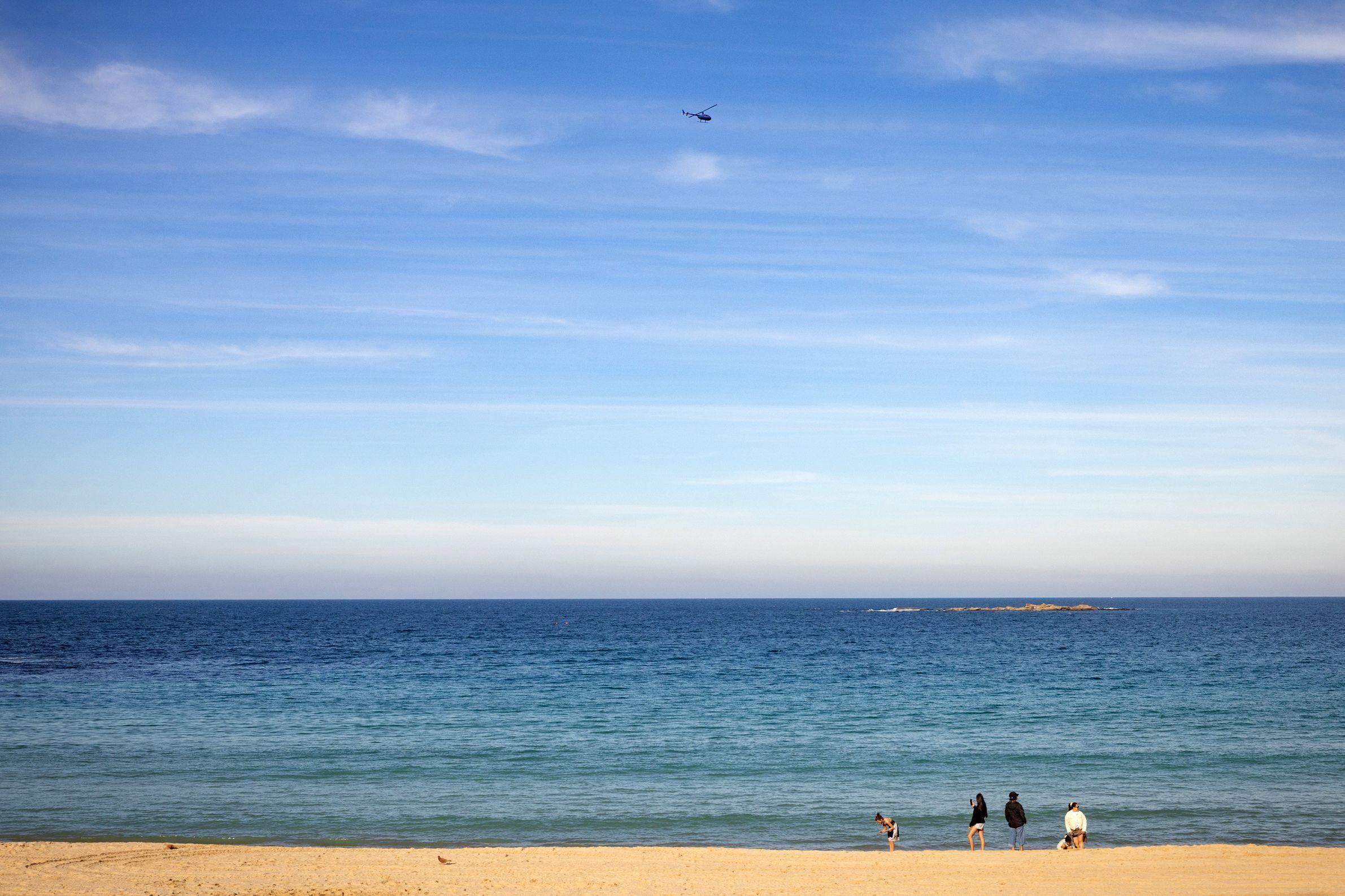 Strand in Australien: Frau in Sydney bei Hai-Angriff lebensgefährlich ...