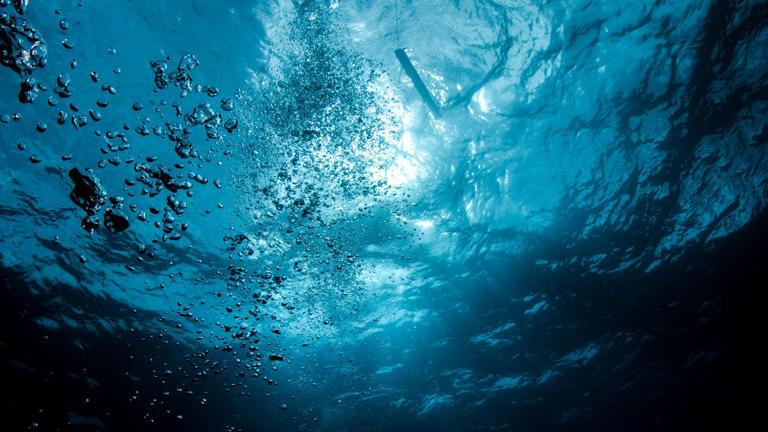 The deepest point in the ocean lies nearly seven miles below the surface