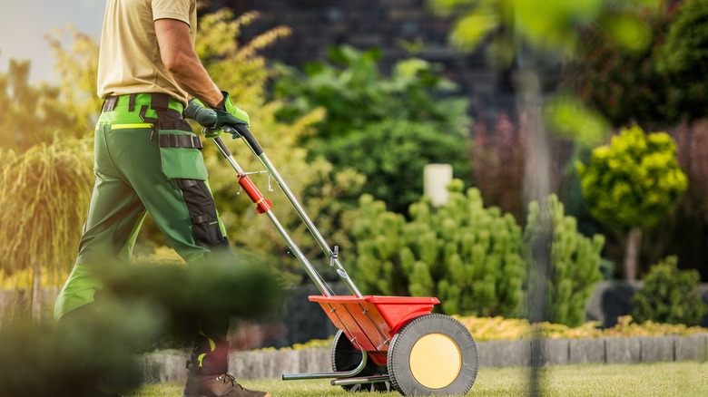 Save on lawn fertilizer: There's a cheaper way to enrich your grass