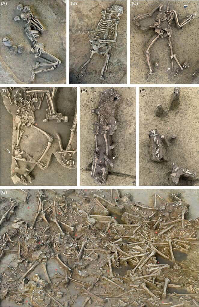 Archaeologists found 77 headless bodies in 7,000-year-old Slovakian ...