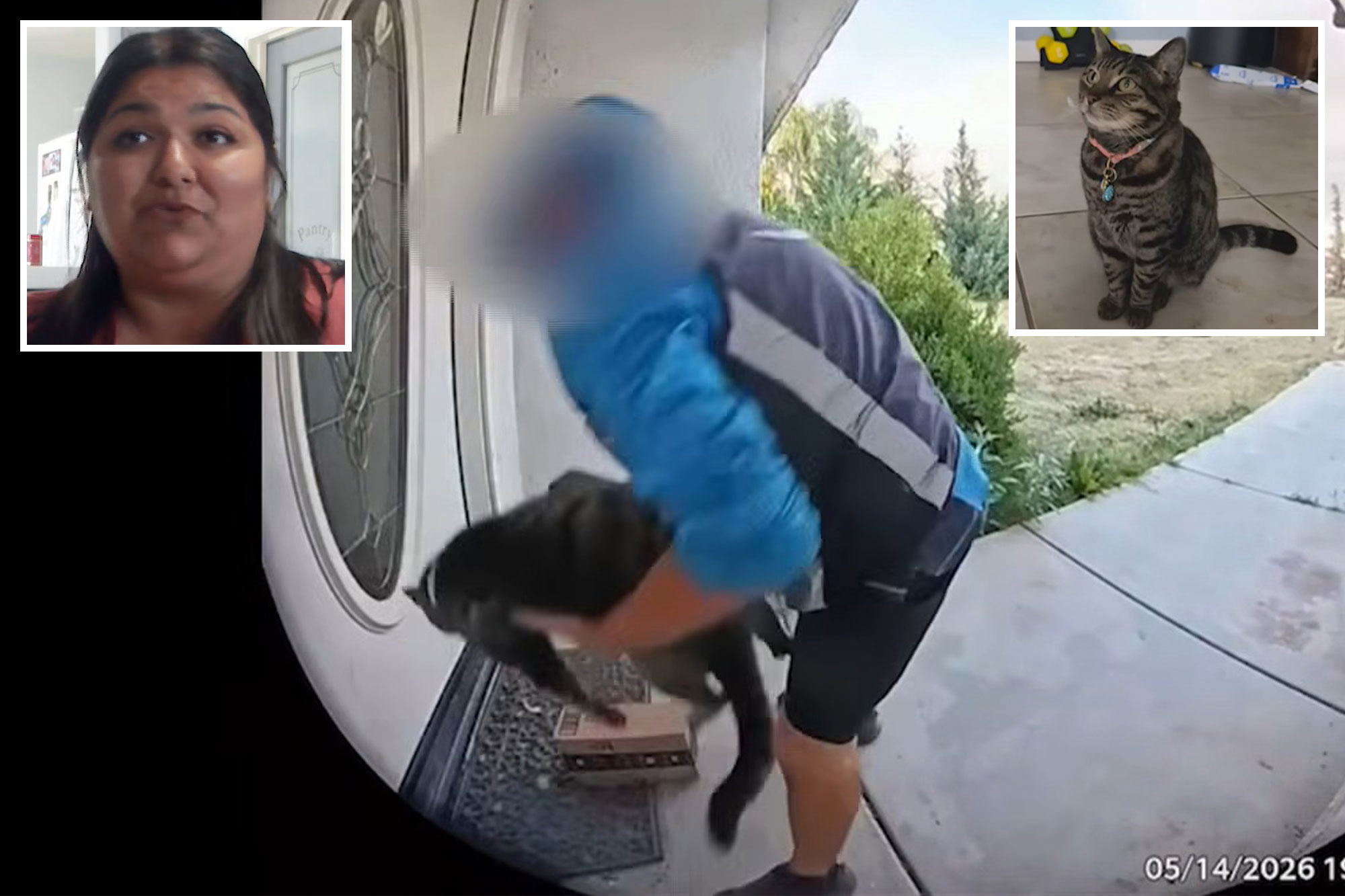 Shock twist after California Amazon delivery driver caught taking ...